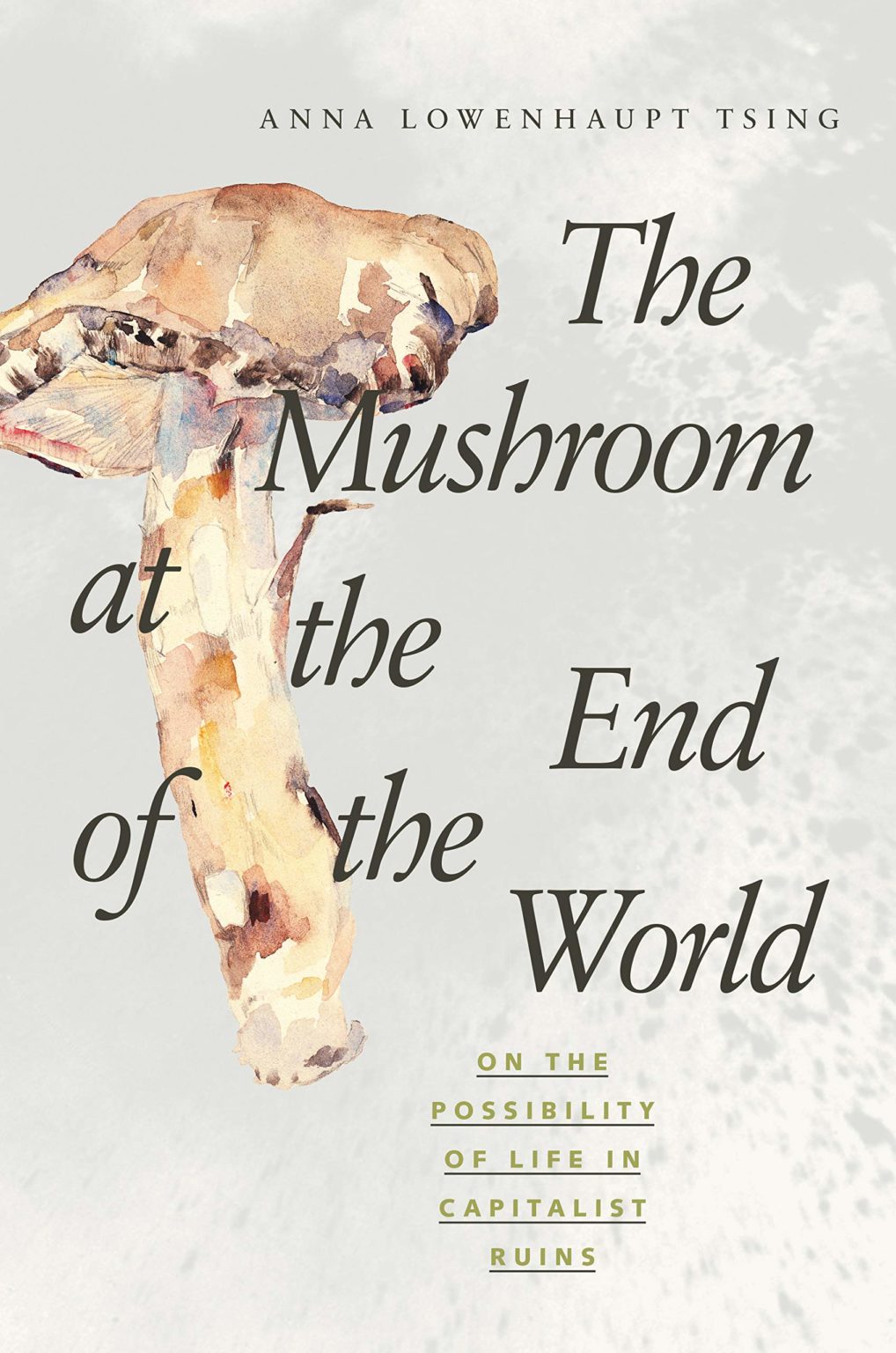 The Mushroom at the End of the World: On the Possibility of Life in ...